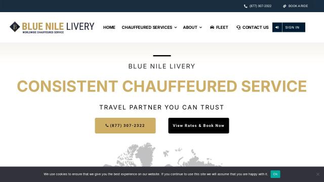 Detection Results for www.bluenilelivery.com - WP-Search